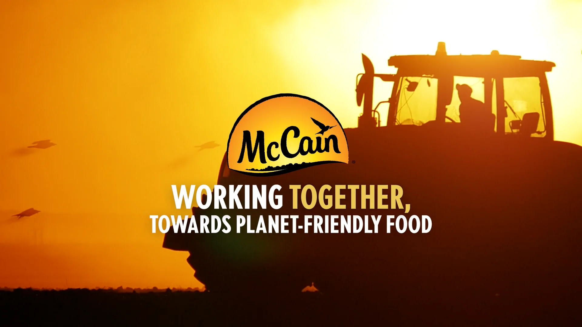 McCain UK - Our Commitment to Sustainability on Vimeo