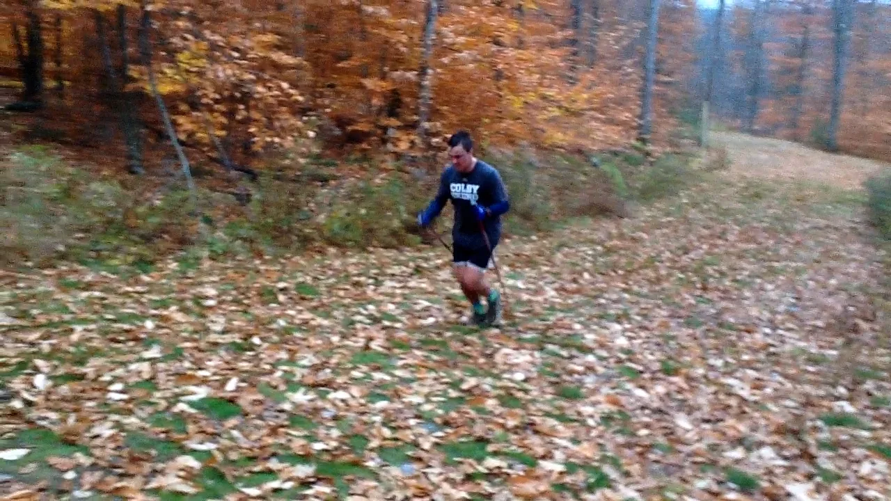 Travis bounding on Vimeo