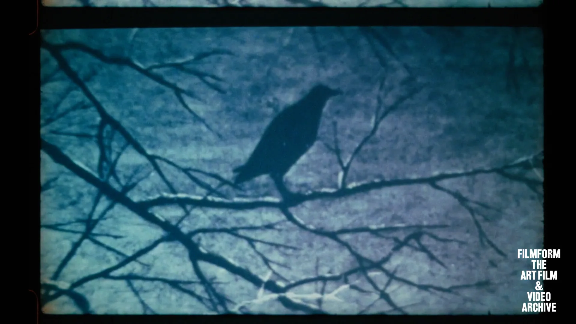 Lina Selander, Oscar Mangione: Diagram of Transfer No. 2﻿ (2019, 1 min ...