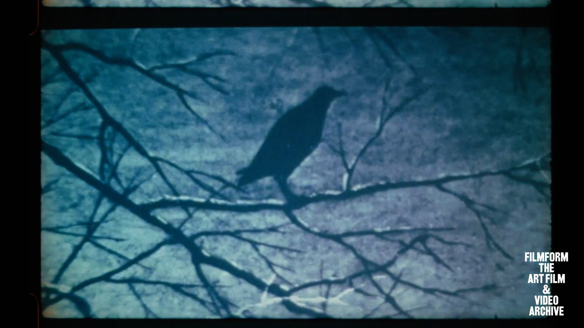 Excerpt - Lina Selander, Oscar Mangione: Diagram of Transfer No. 2 ...