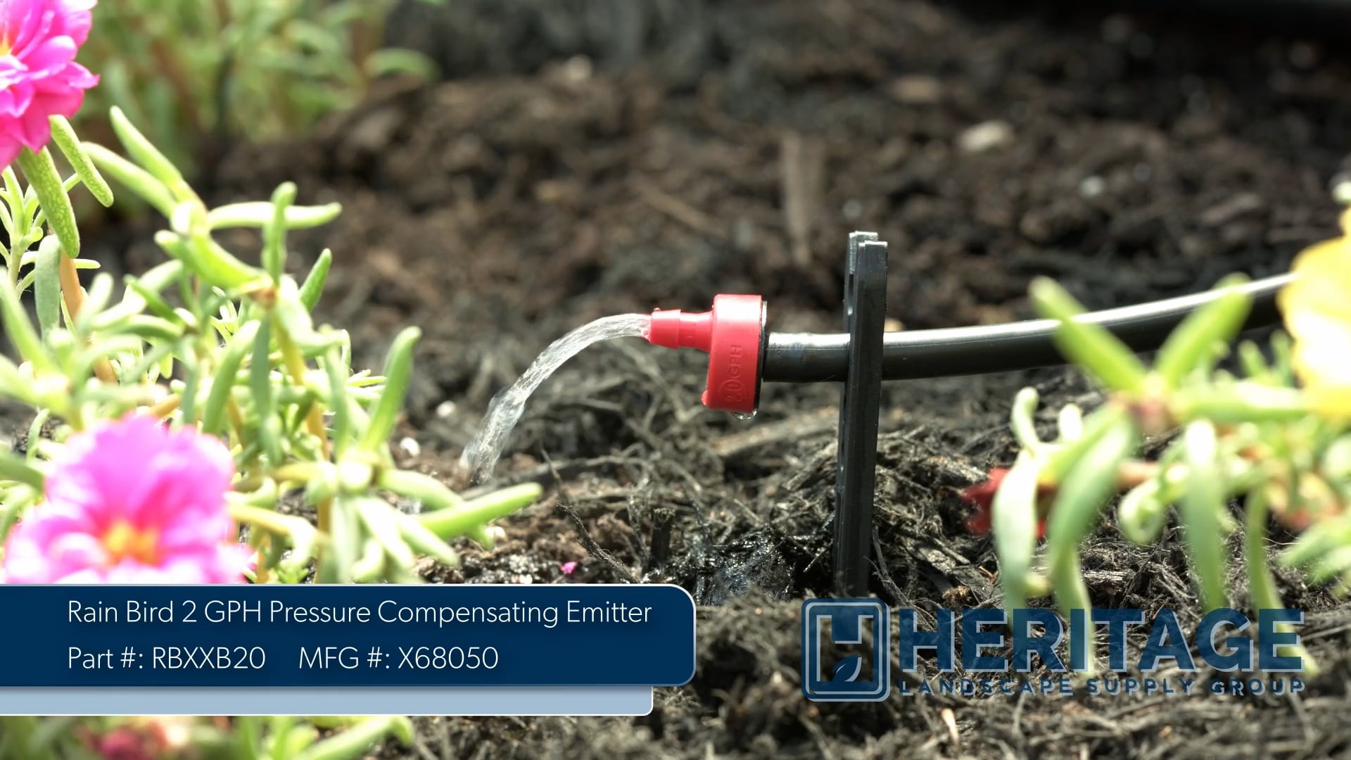 Rain Bird XB 2 GPH Button Drip Emitter, RBXXB20 (X68050) on Vimeo
