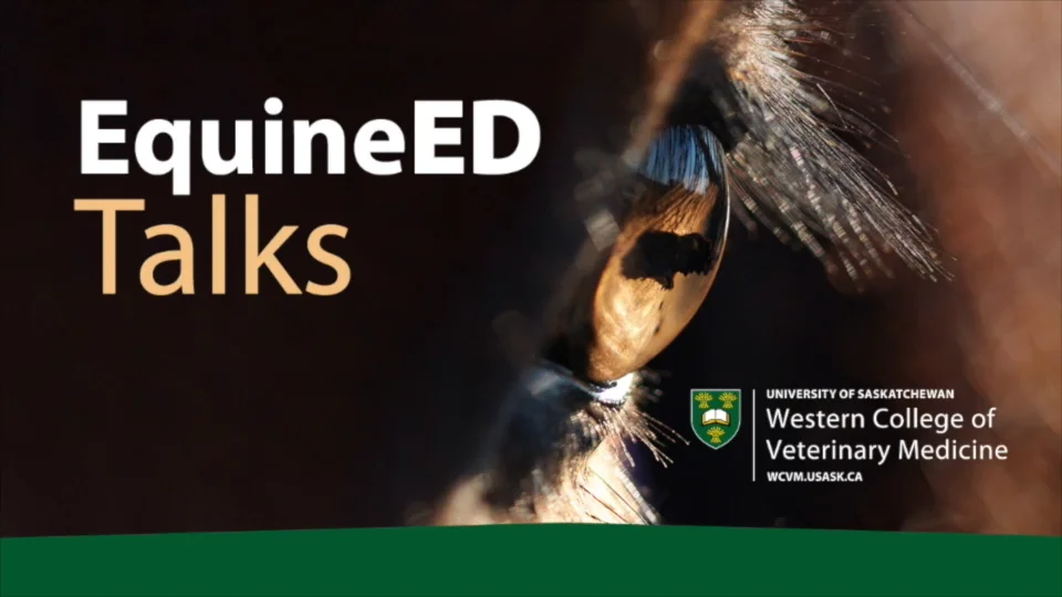 WCVM EquineED Talks: laminitis