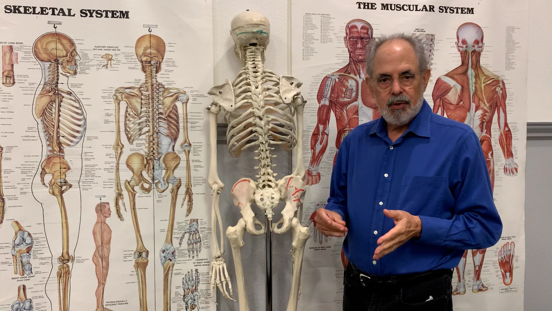 Deep Massage Solutions for Back Tension & Pain with David Lauterstein ...