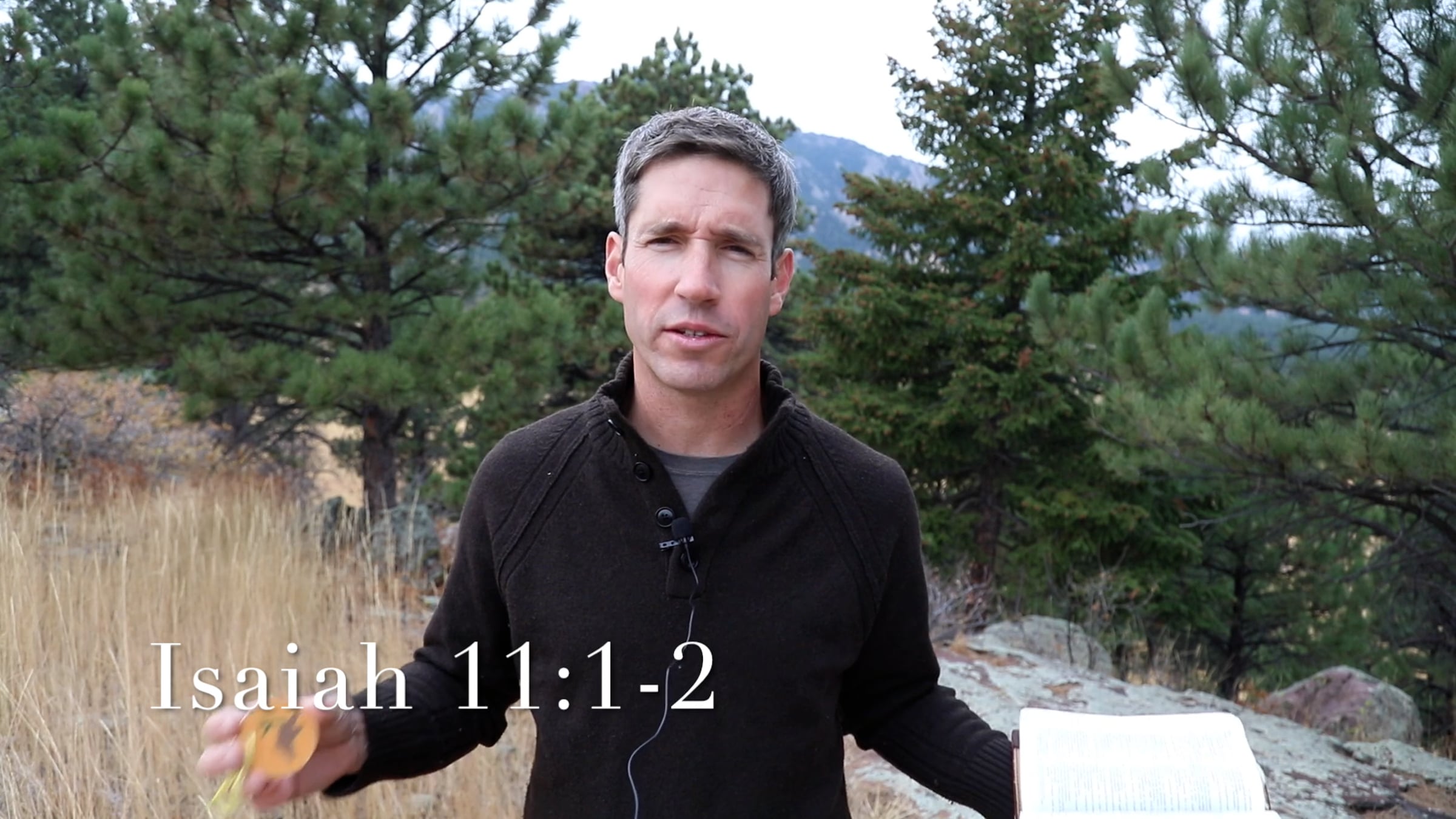 Jesse Tree Day 1, The Stump