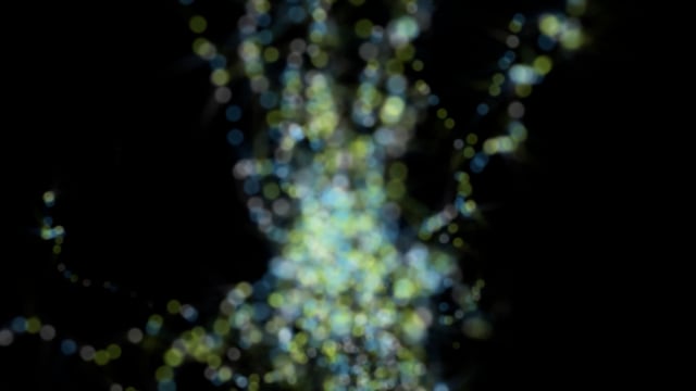 Polyp Coelenterate Invertebrate - Free video on Pixabay