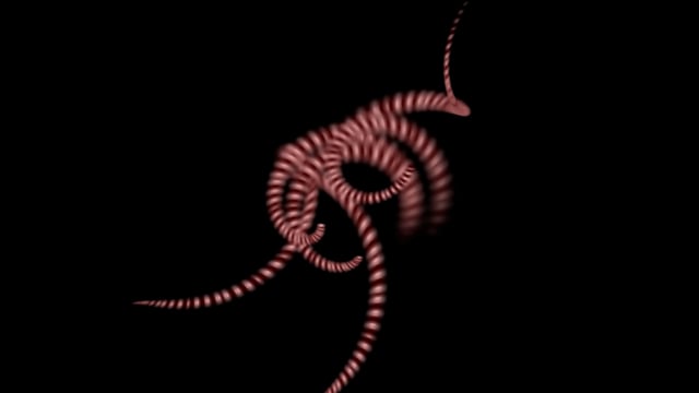 Centipedes Videos: Download 2+ Free 4K & HD Stock Footage Clips - Pixabay