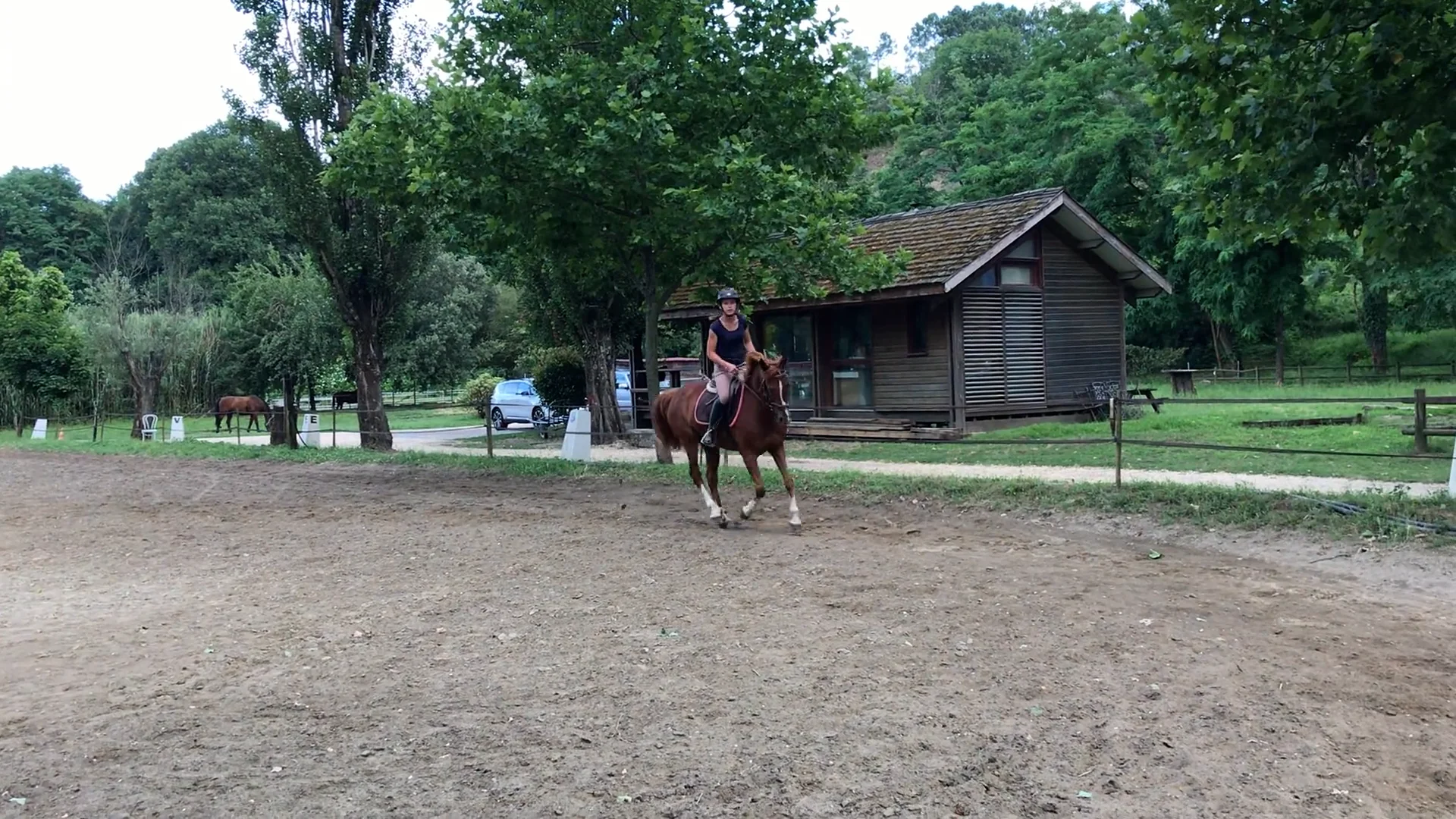 IMG_8829MOV (1) on Vimeo