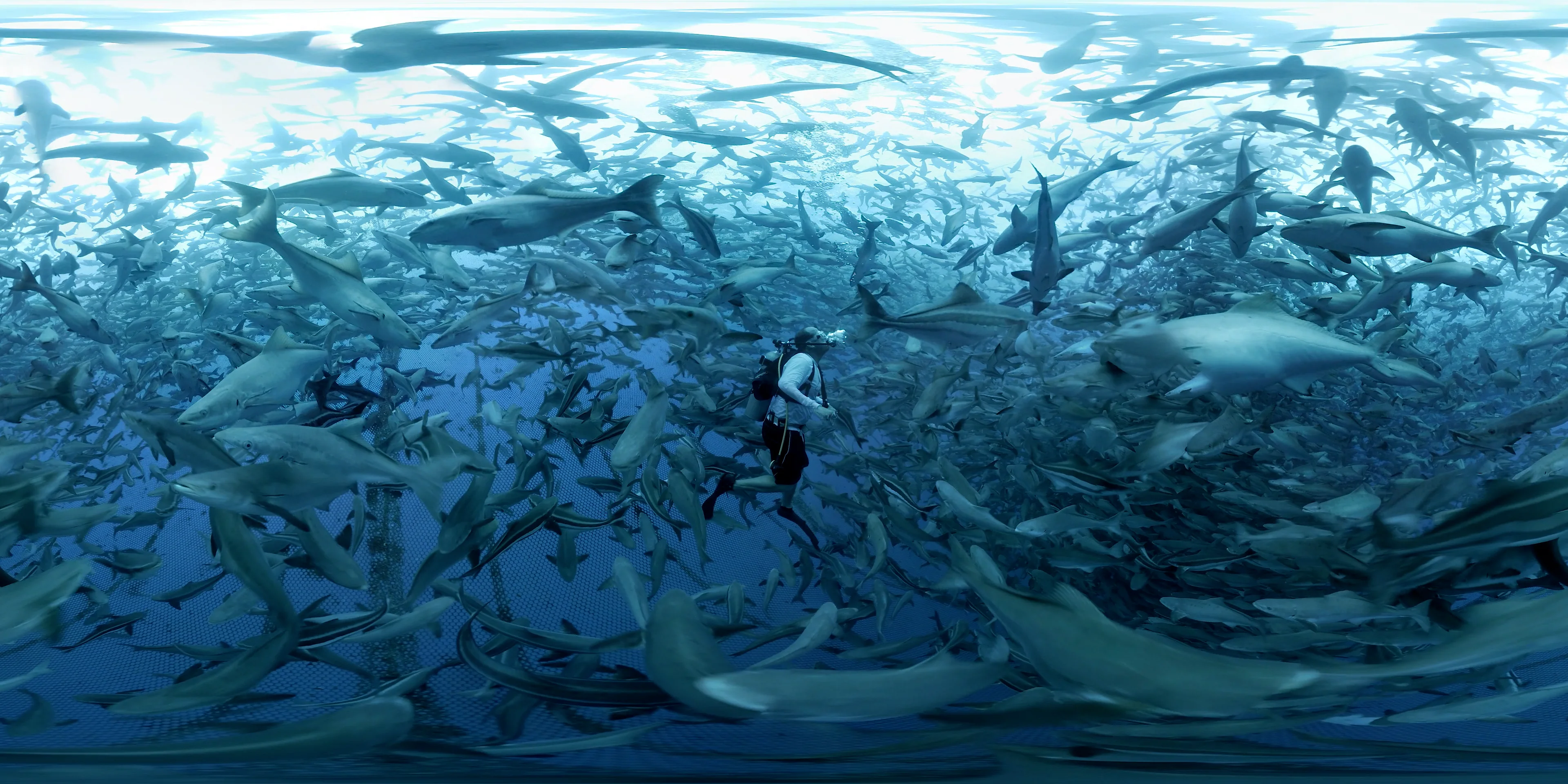 English - Feature Film on Vimeo