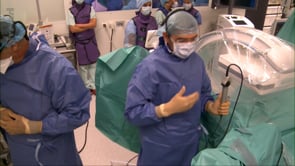 Large cystinic renal stone treated with regular staged flexible ...