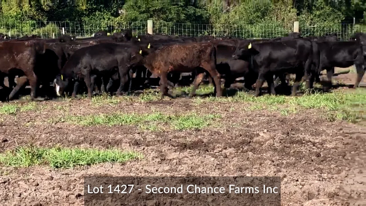 1427-Second Chance Farms.mp4 on Vimeo
