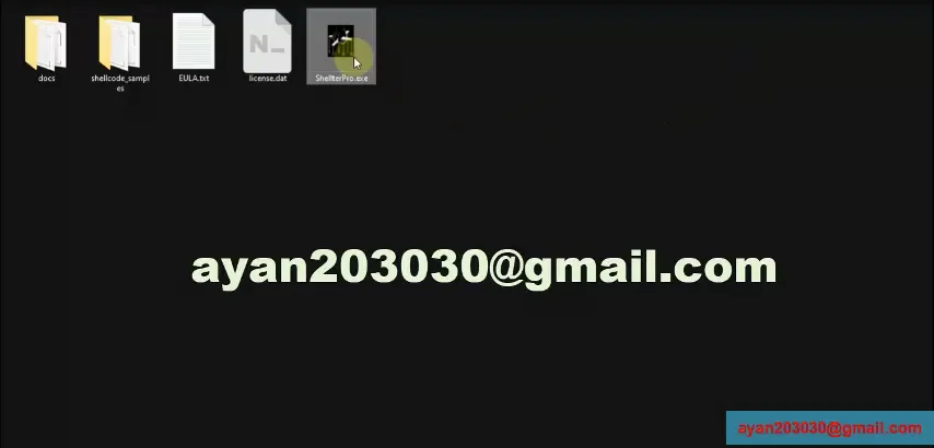 Shellter Pro 4.0 | UPDATE 2024