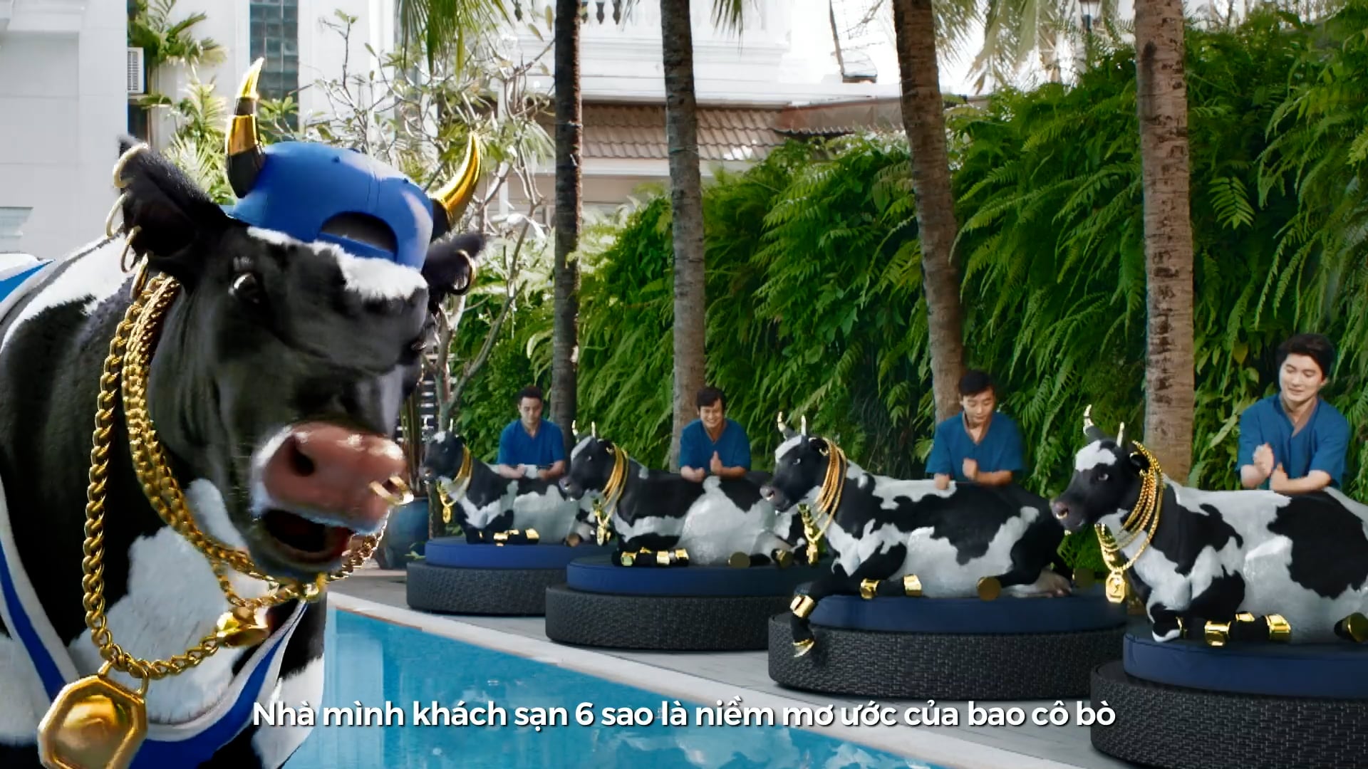 COW RAP BATTLE.mp4 on Vimeo