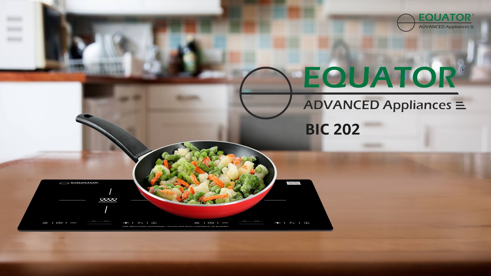 Equator 20" Built in/Freestanding 2 Horizontal Burner Induction Cooktop ...