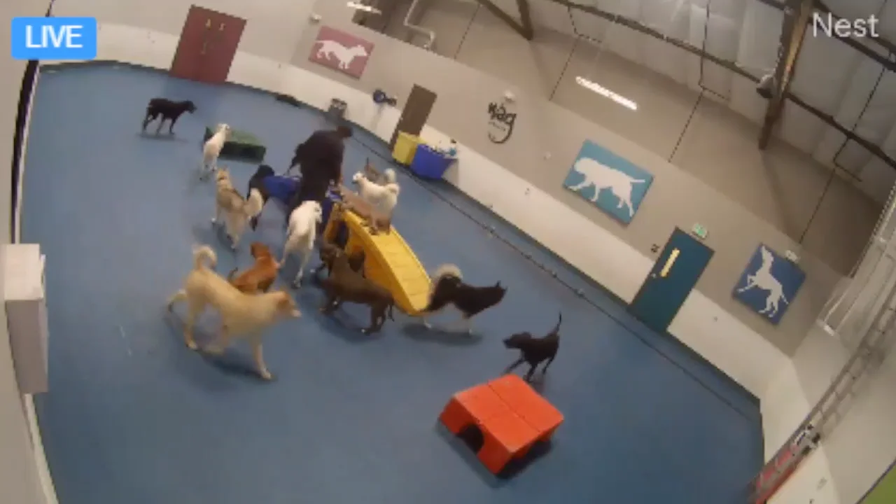 Engagement in a Clean Play Area on Vimeo