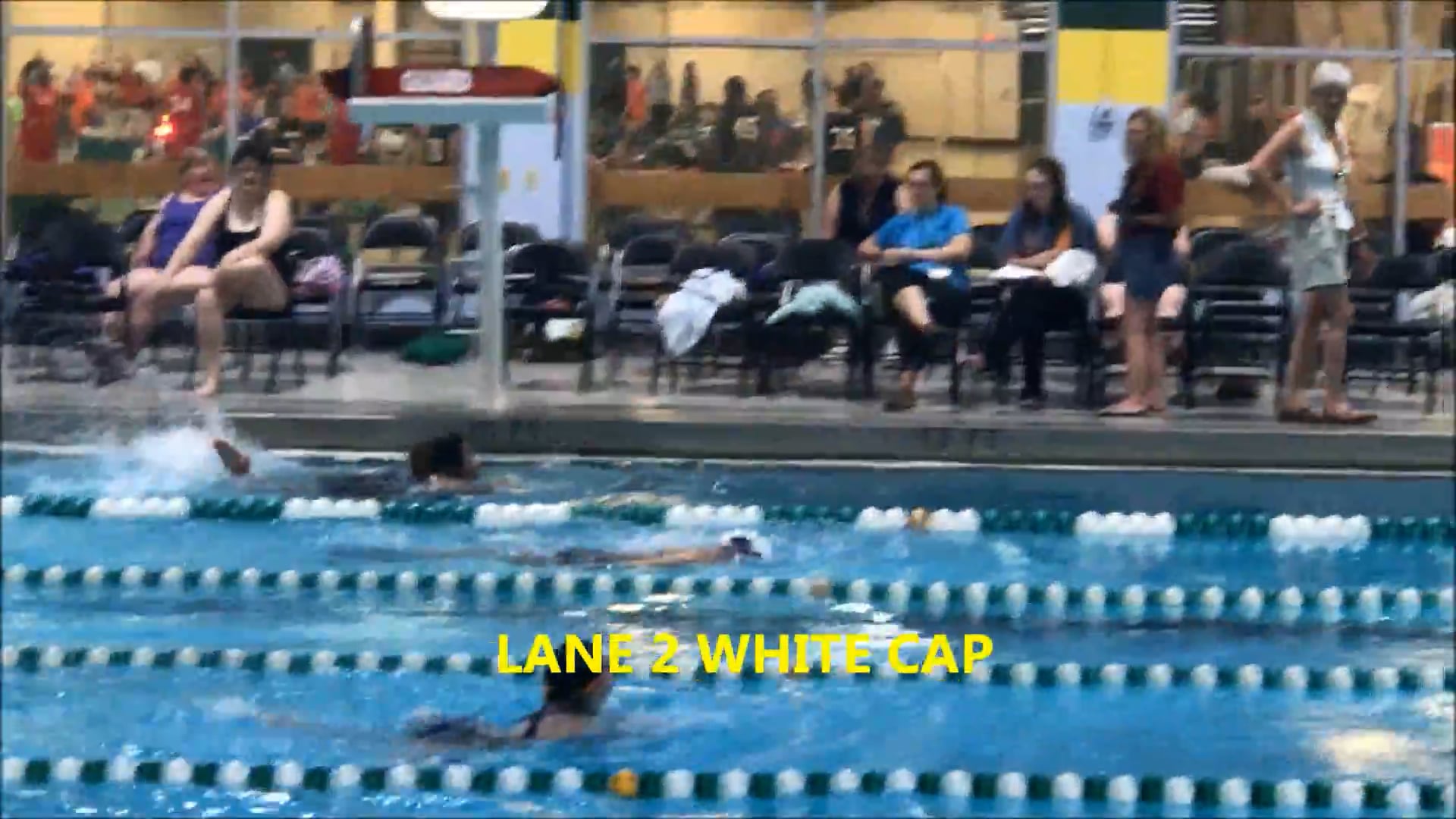 4-Swim Olympics.mp4 on Vimeo