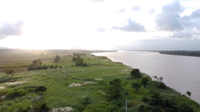 Field Paddy Field River Free Stock Video - Pixabay