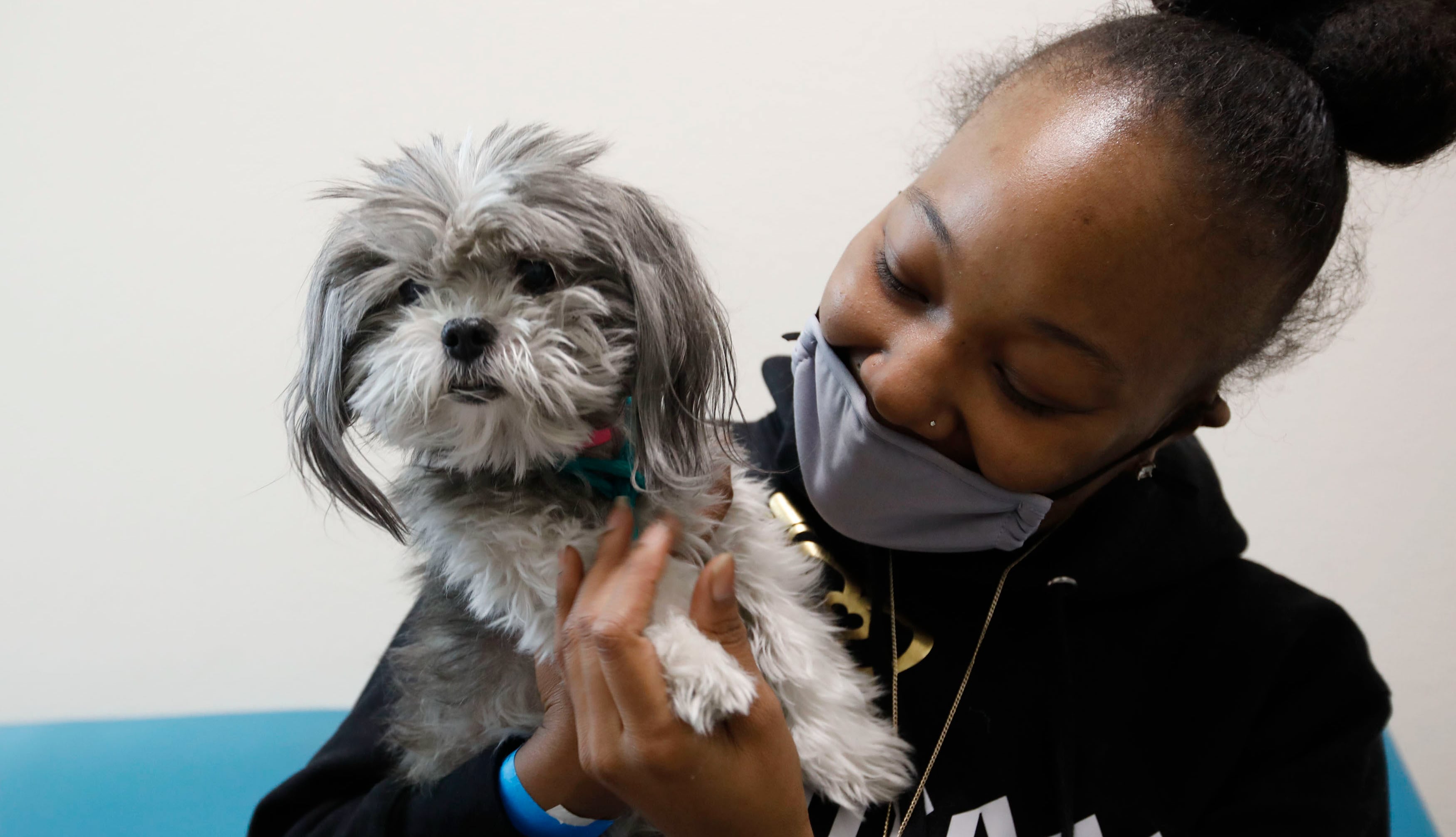 Animal adoption on Vimeo