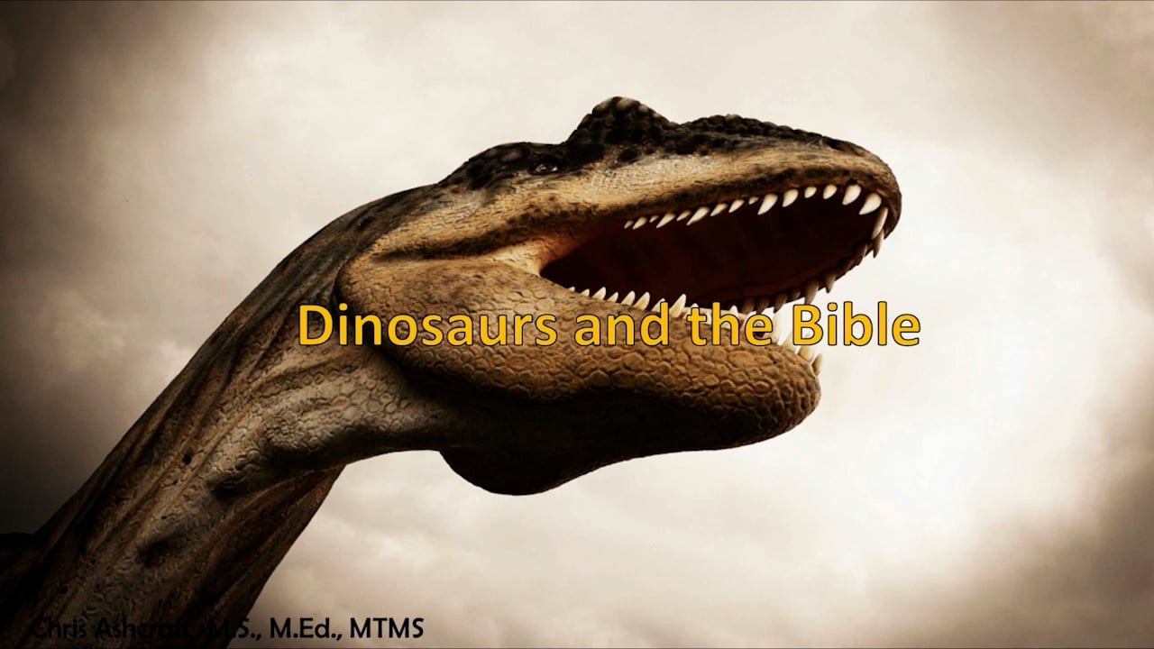 Friday Field Trip - Chris Ashcraft on Vimeo