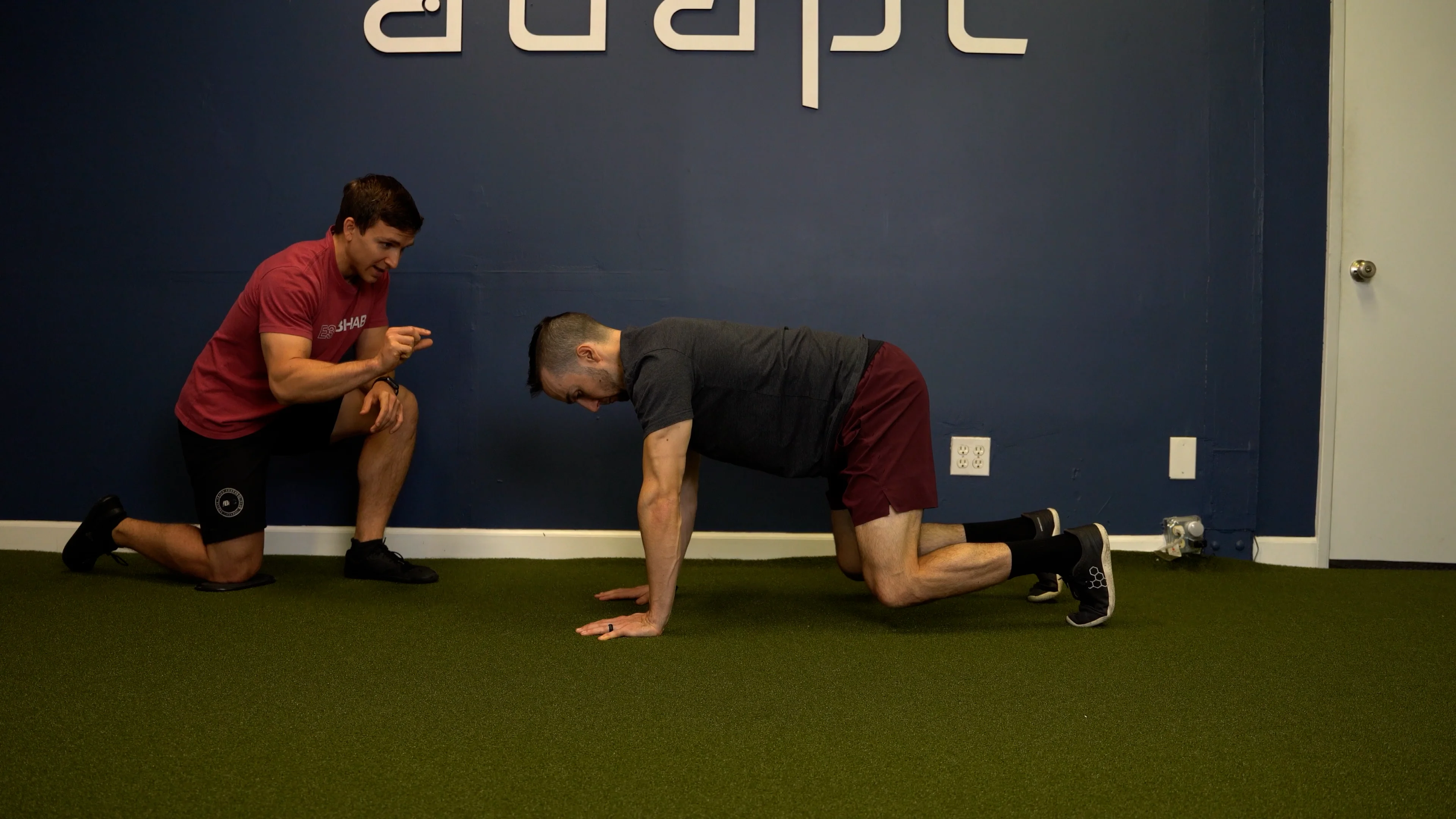 Bear Plank Isometric (Tutorial)