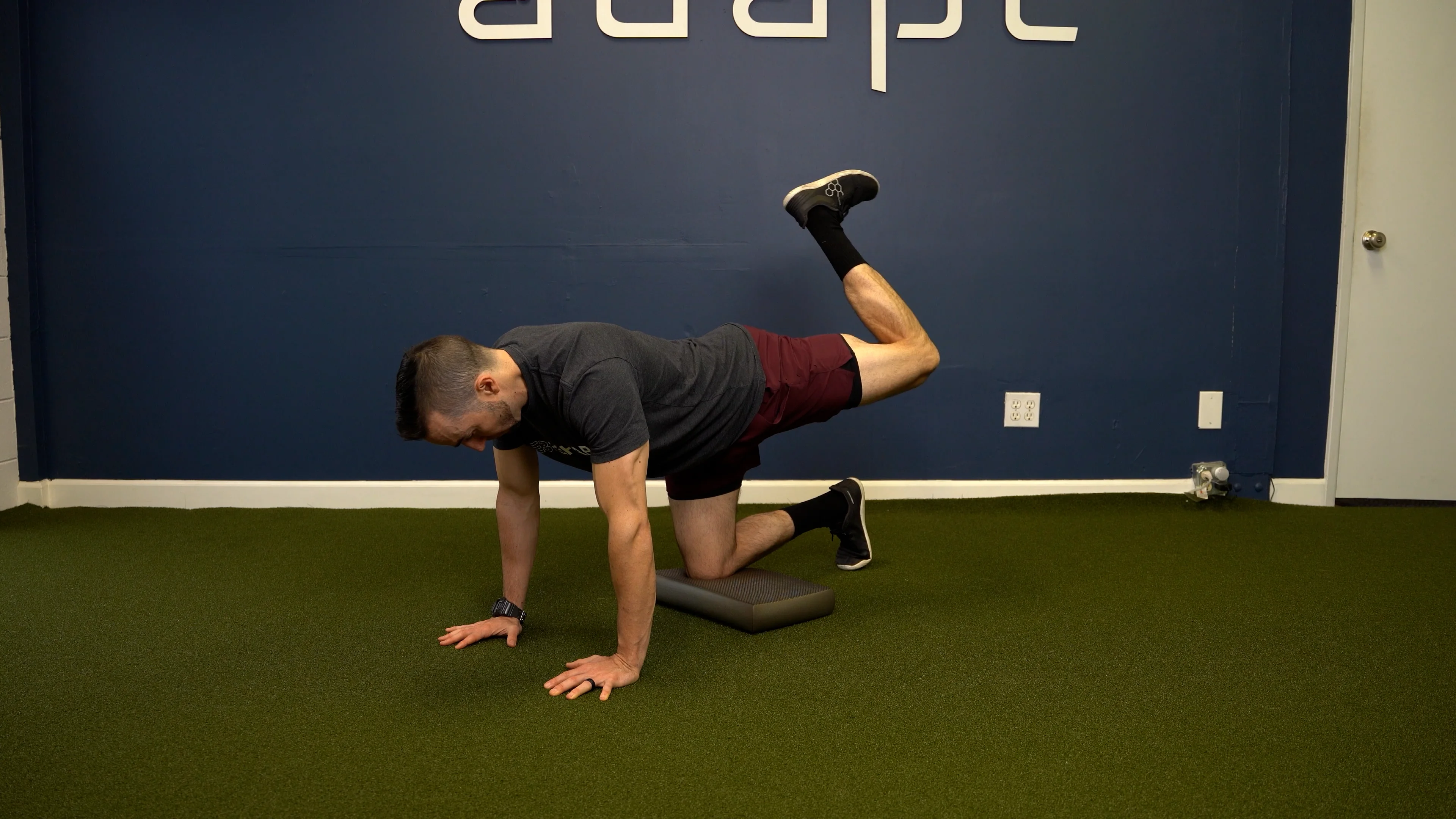 Quadruped Hip Circles (Demo)