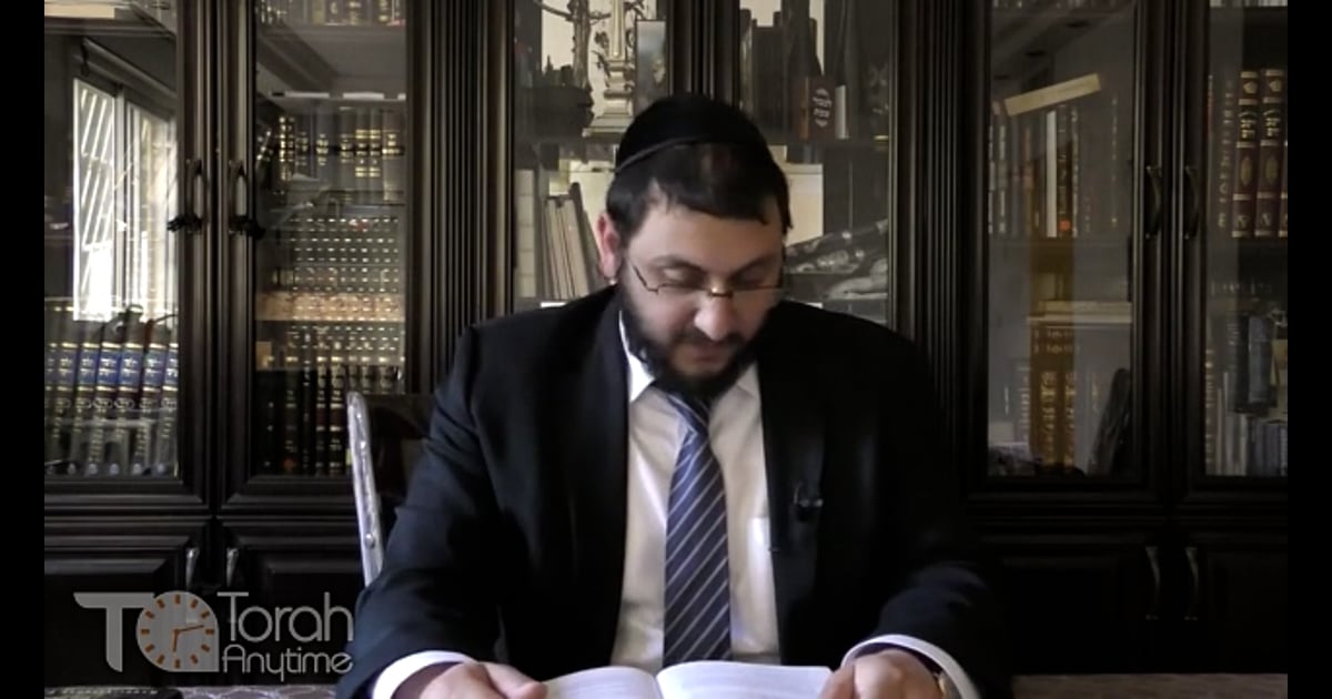 R' Binyamin Ghermezian | Fake Auction Bids Which Raise The Price [#06]