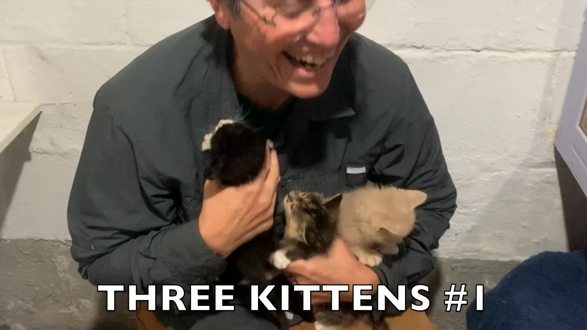 Three Kittens #1 on Vimeo