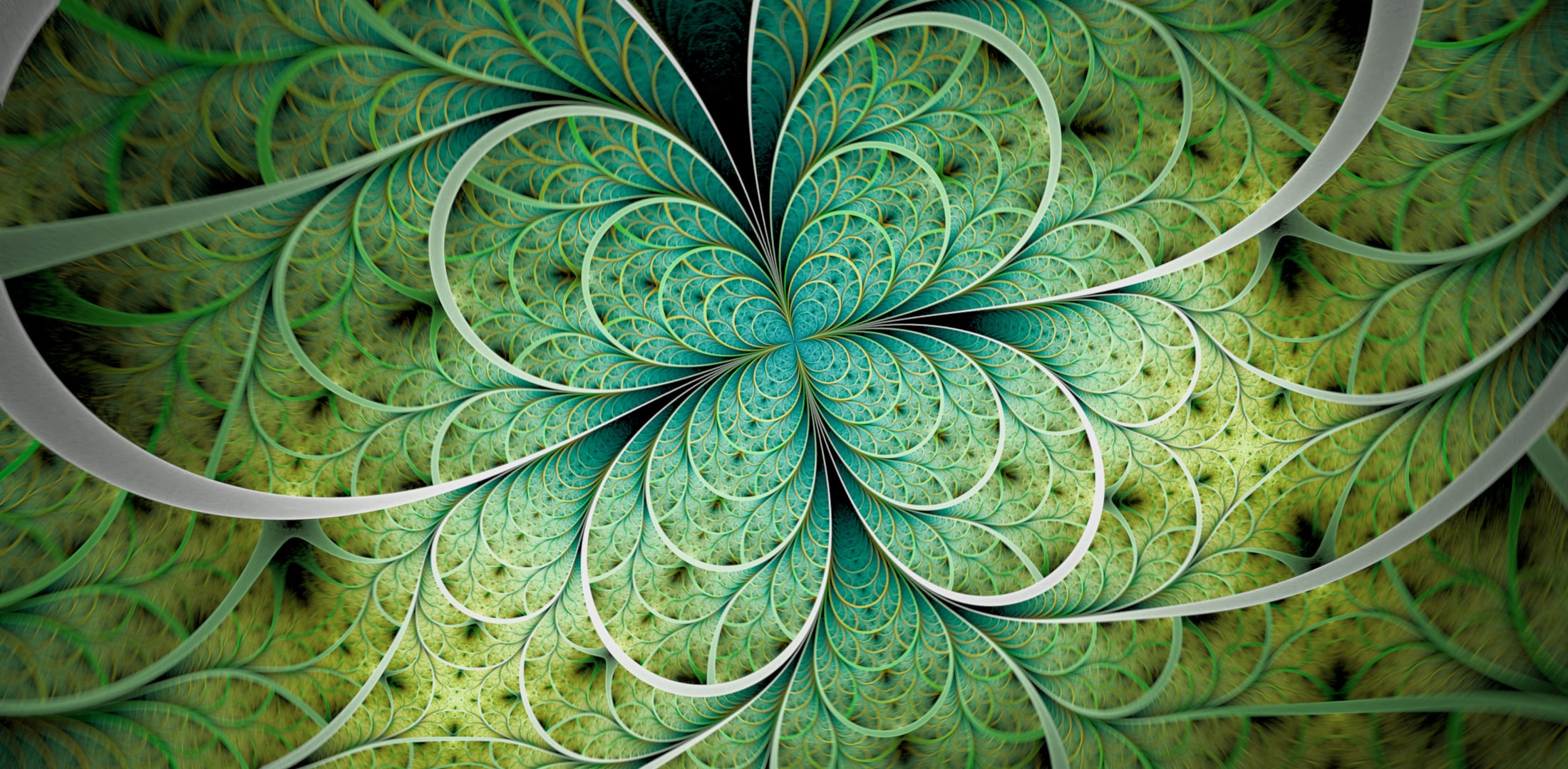 The Fractal Flame Algorithm in SideFX Houdini. Alice on Vimeo