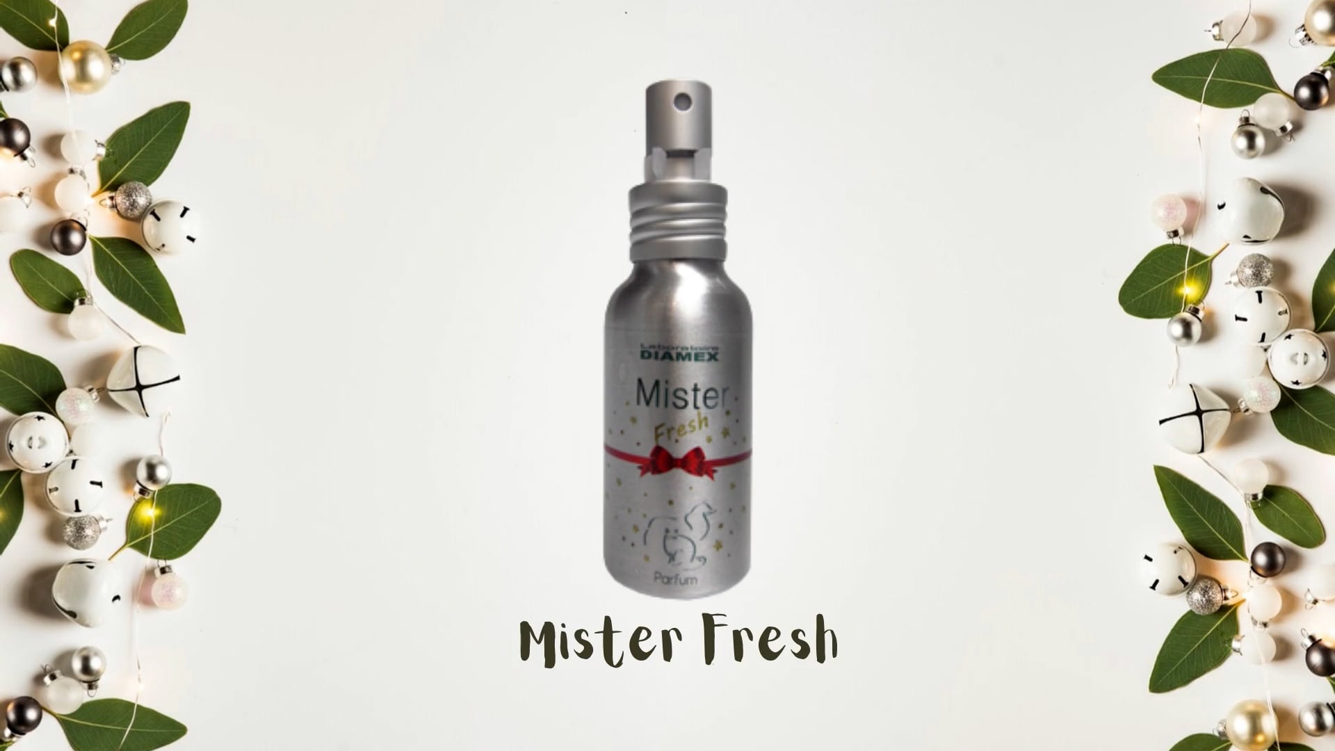 Mister Fresh on Vimeo