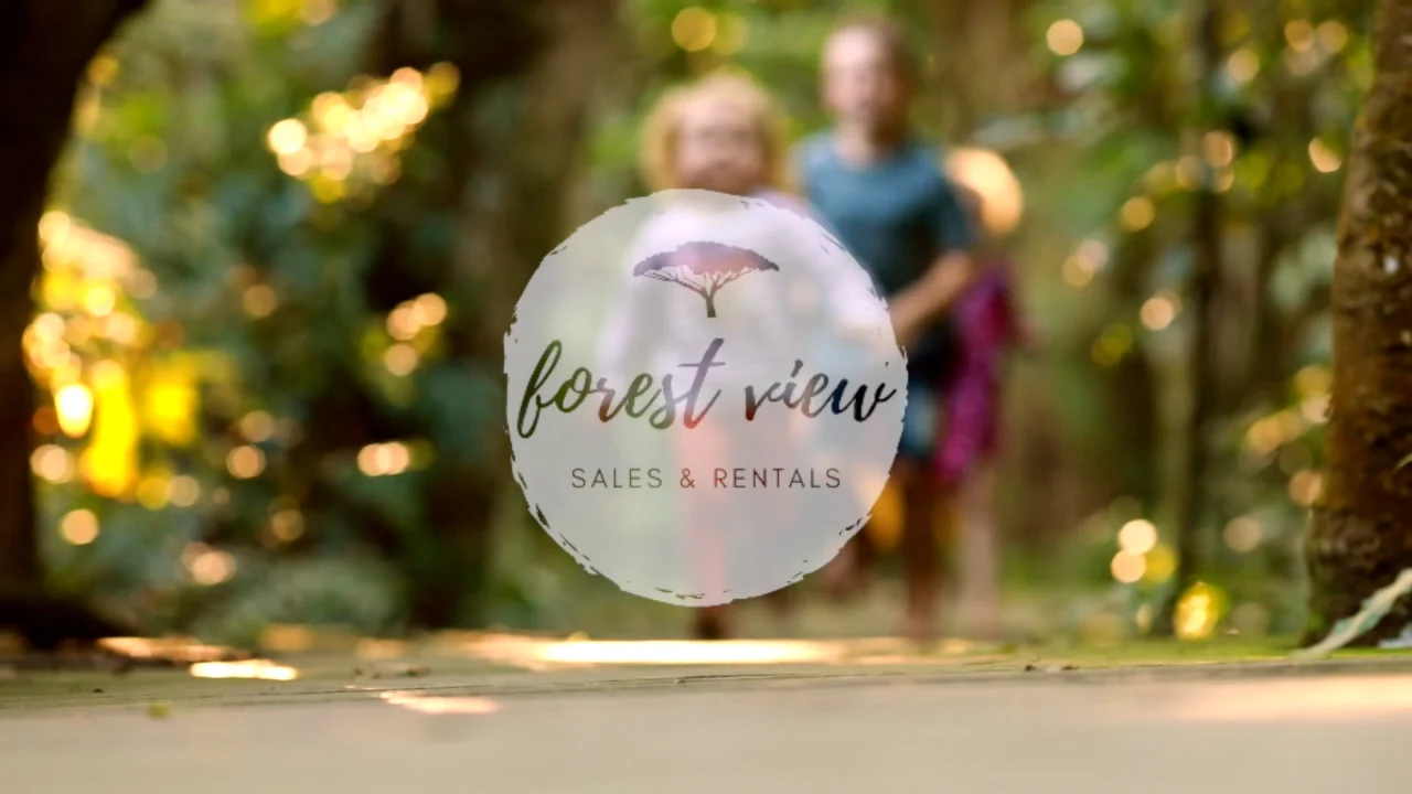 FOREST VIEWS - 1min on Vimeo