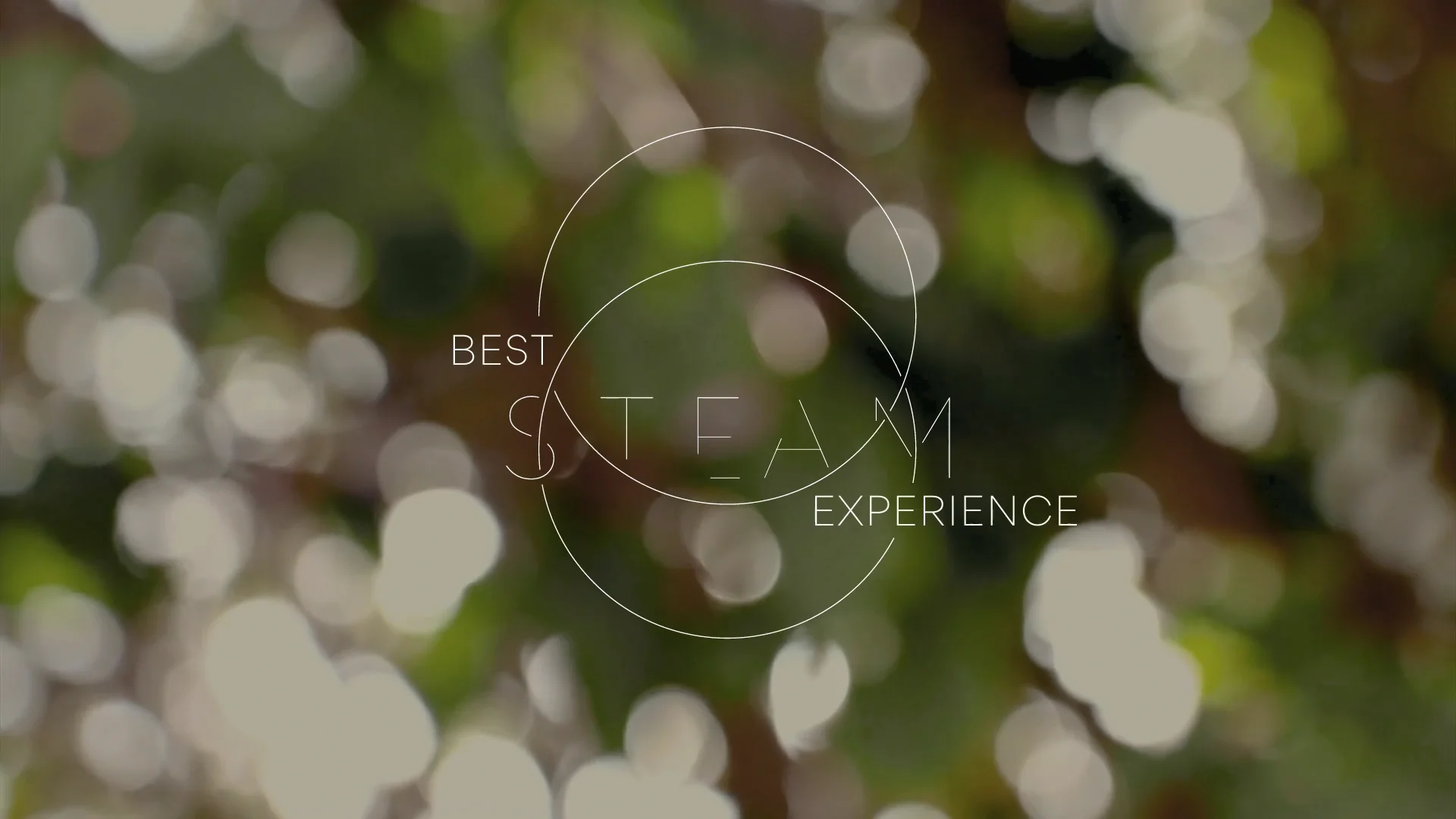 Effe Steam Technology (EN)