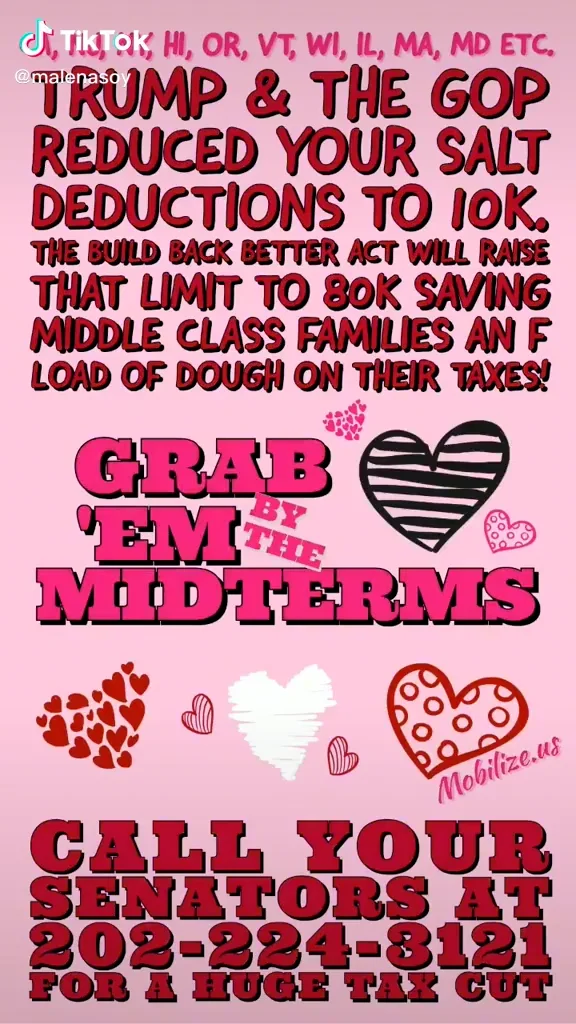 Grab Em by the midterms on Vimeo