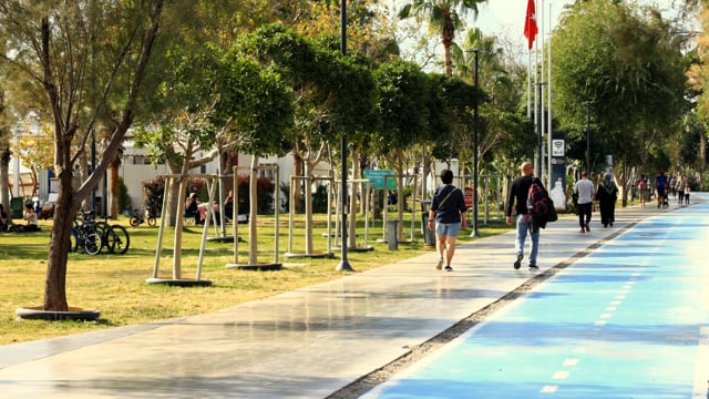 Street, To Walk, Walk. Free Stock Video - Pixabay