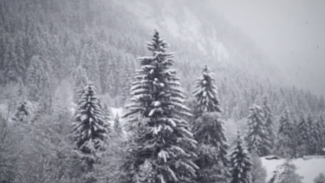 Winter, Snow, Christmas. Free Stock Video - Pixabay