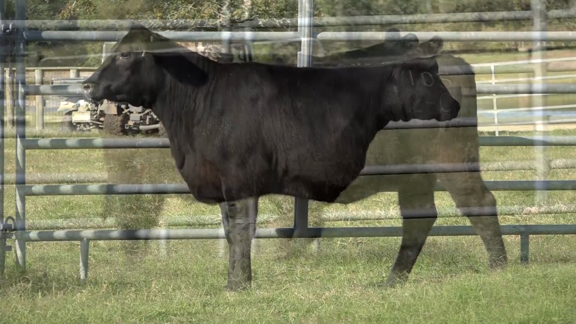 LOT 9 - 2 BAR C Ranch.mp4 on Vimeo