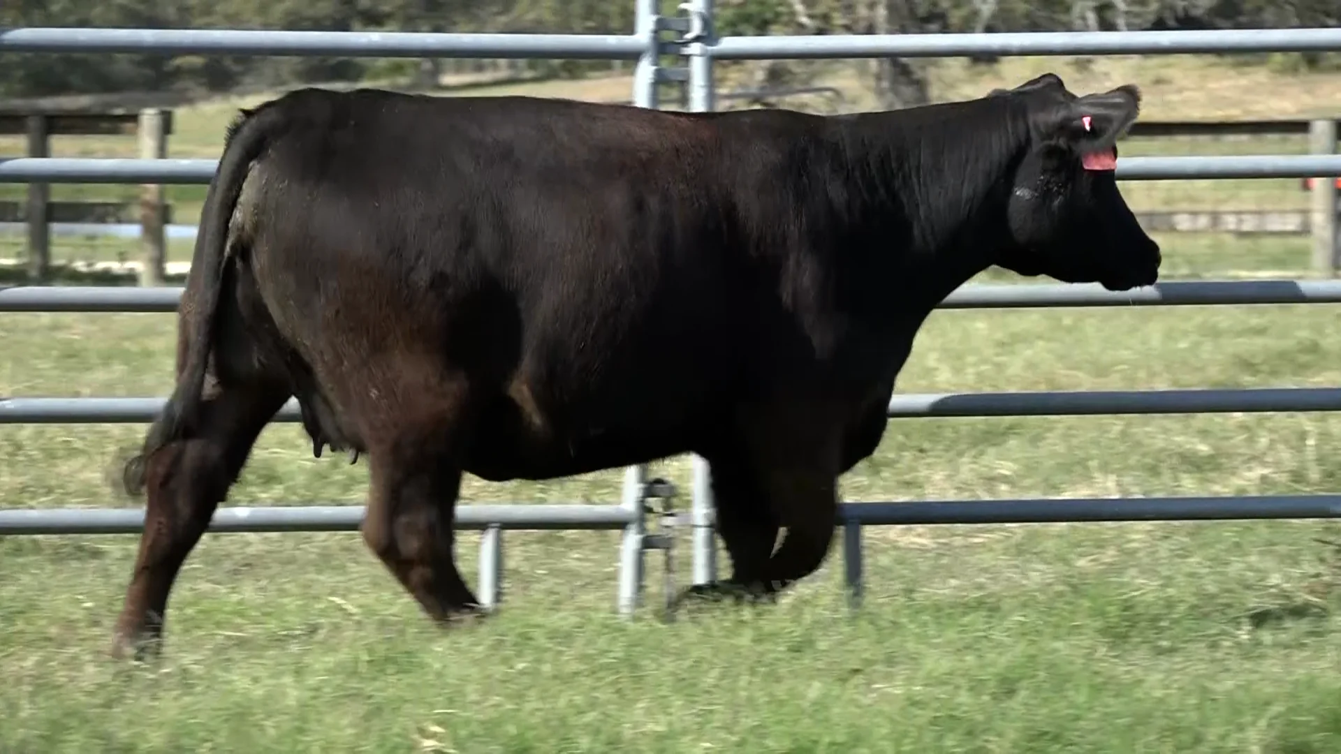 LOT 38 - 2 BAR C Ranch.mp4 on Vimeo