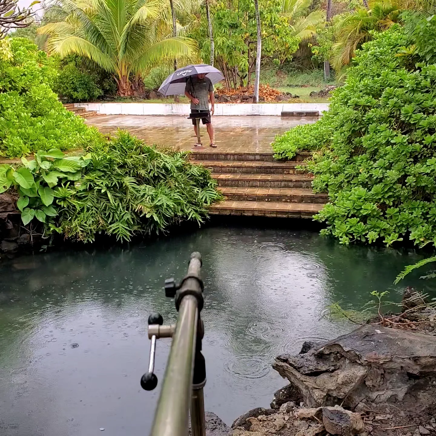 Kanewai Spring Audio Test 112721 on Vimeo