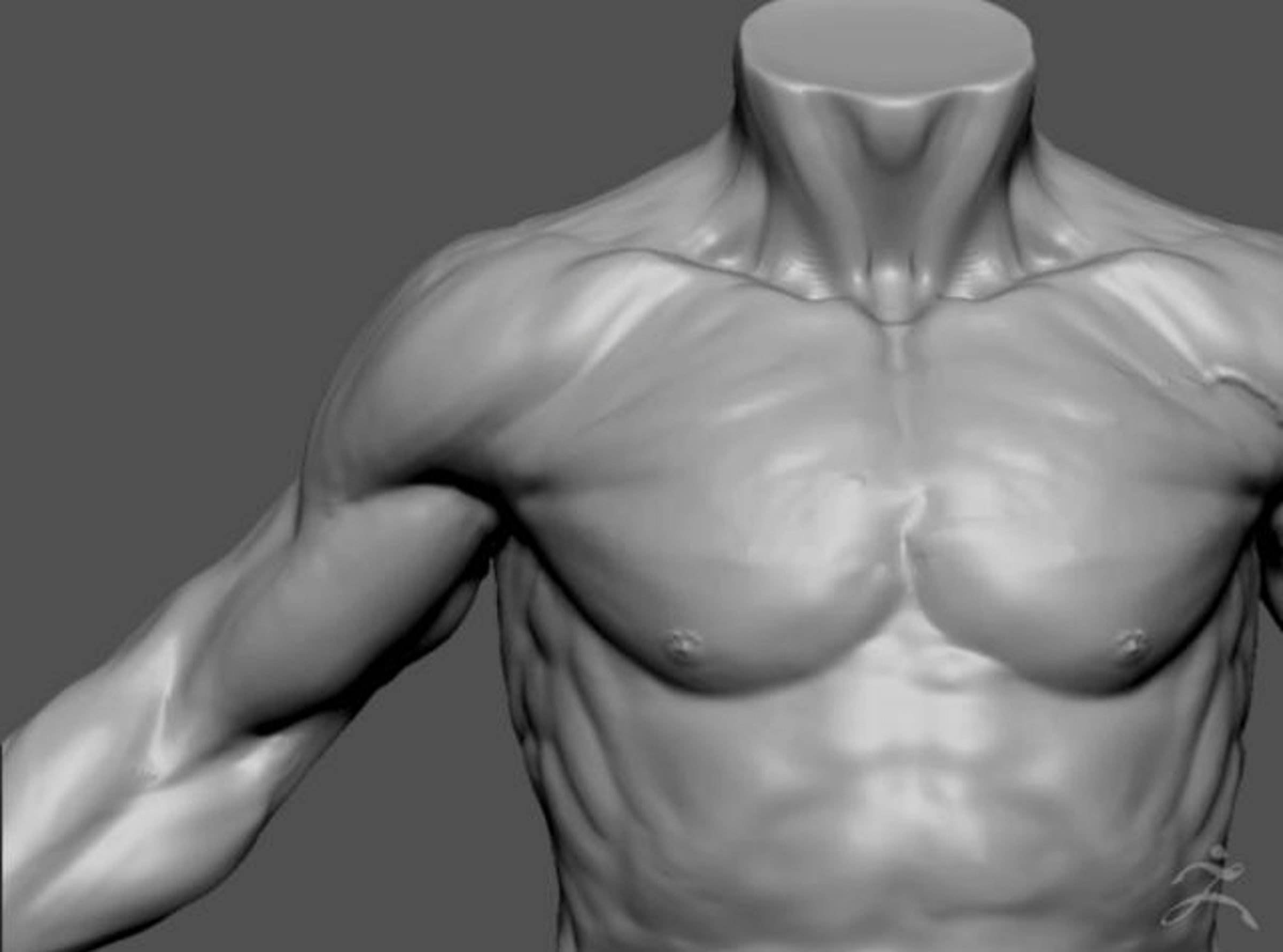 Daily Sculpting Exercises - Male Anatomy Study