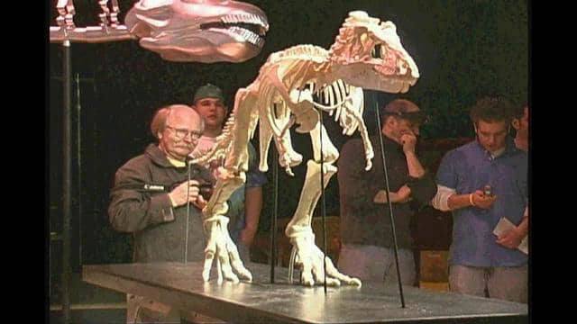 Walking T-rex for AMNH Travelling show on Vimeo