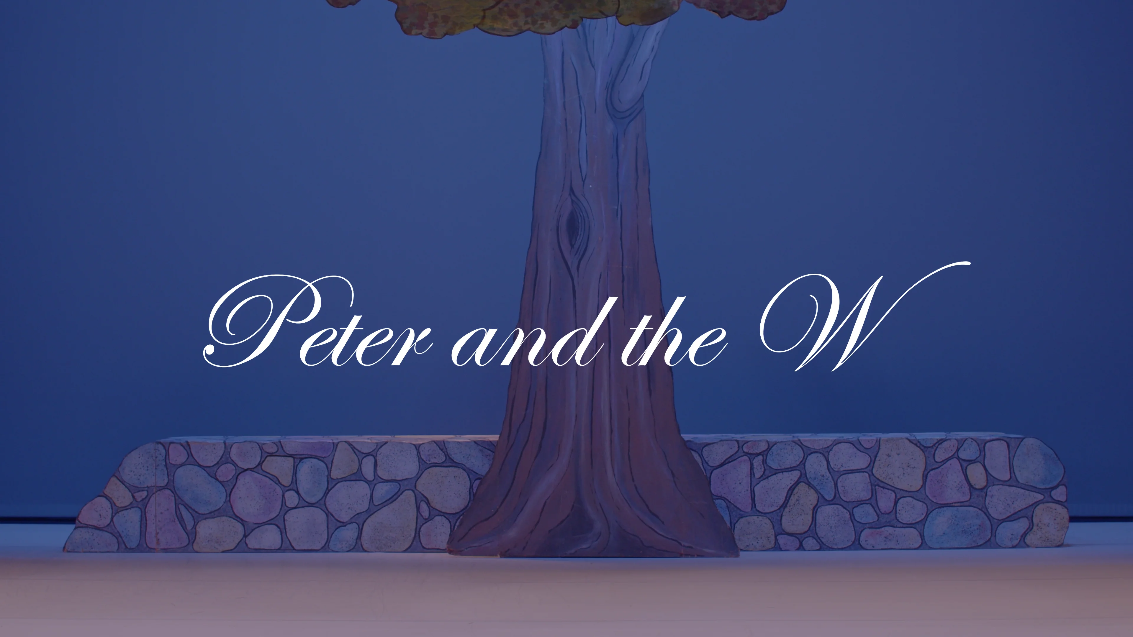 Sensory Friendly Dance Presents Ron Cunningham's Peter and the Wolf.mp4 ...