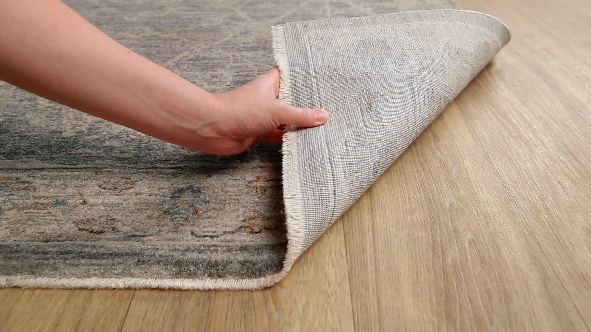 Avant Garde AVT-2305 Area Rug, 6'7" Round - Traditional - Area Rugs ...