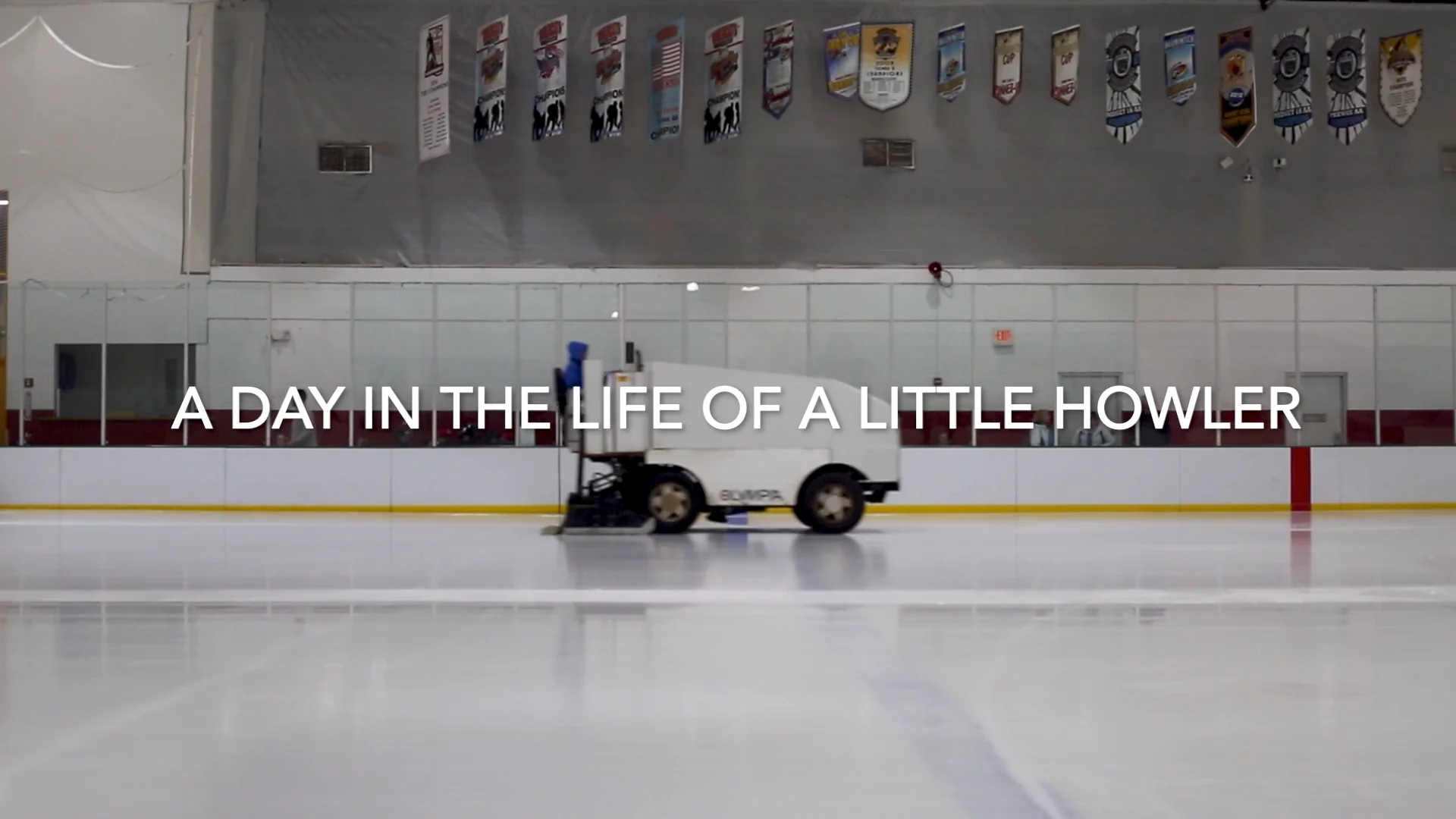 A Day in the Life of a Little Howler on Vimeo