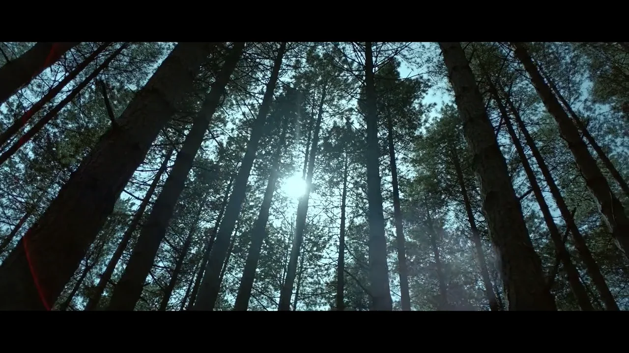 PLT Puregreen - The future belongs to our children
