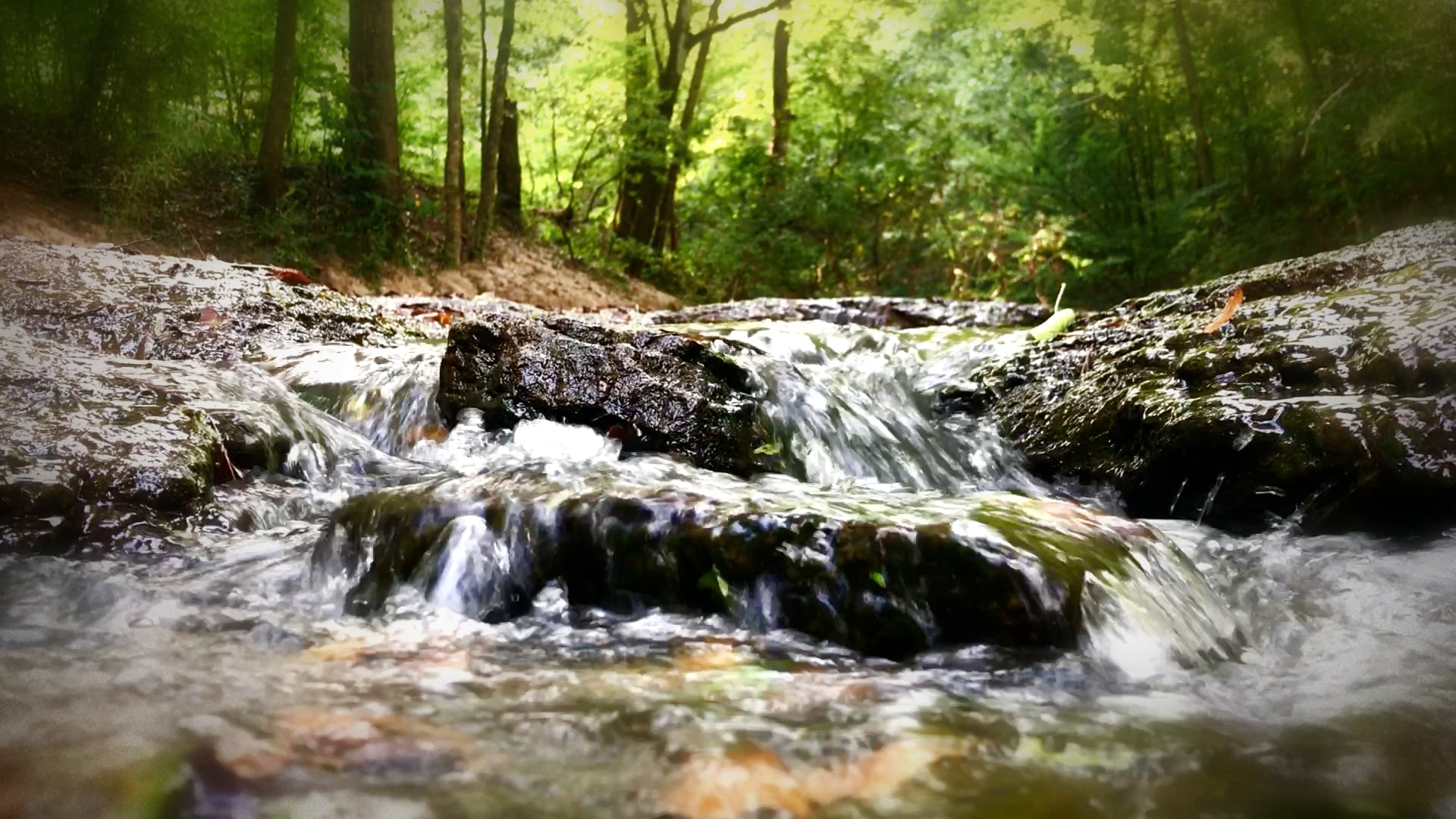 Rawson Creek Properties, LLC