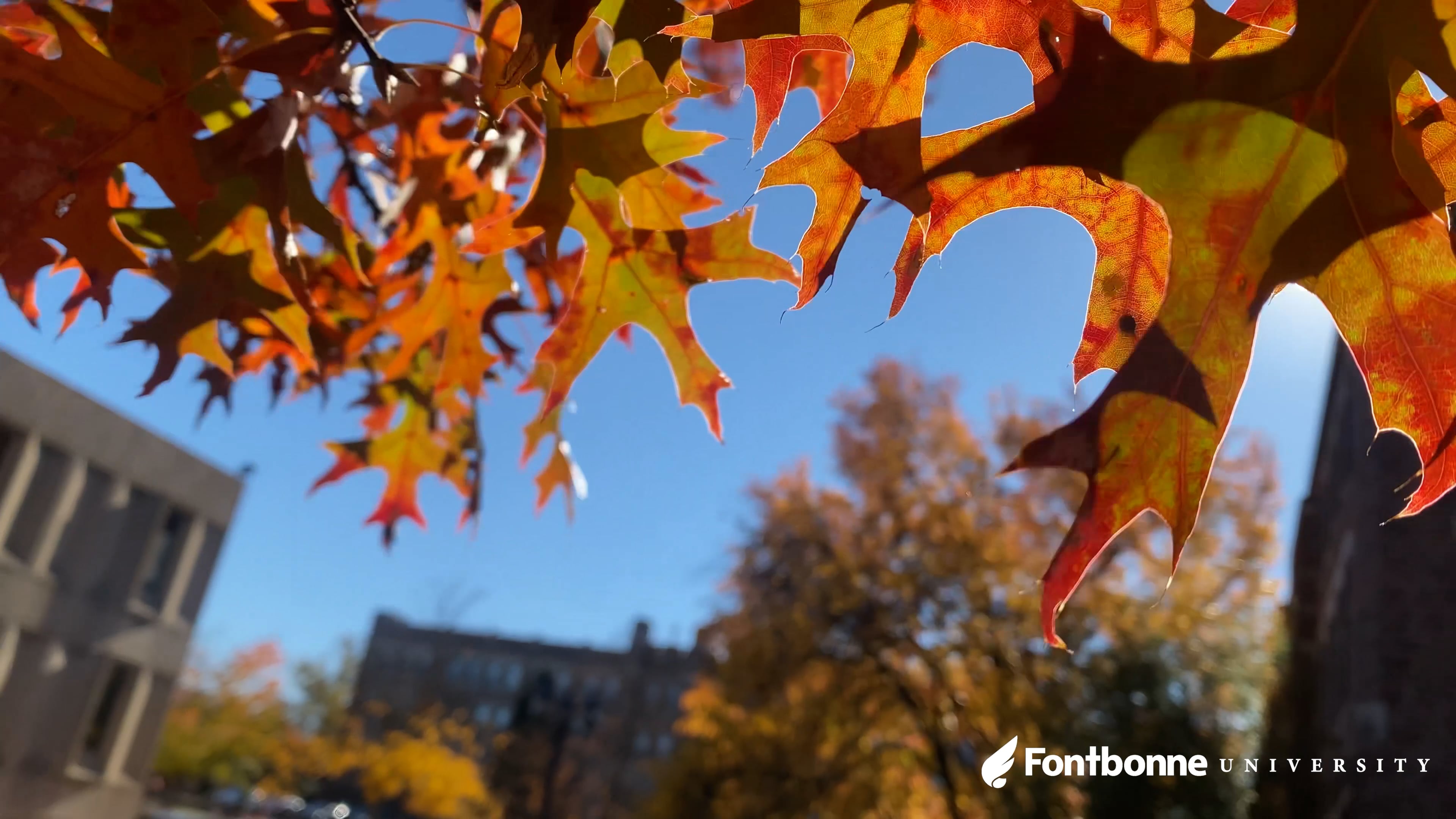 Colors of FBU on Vimeo