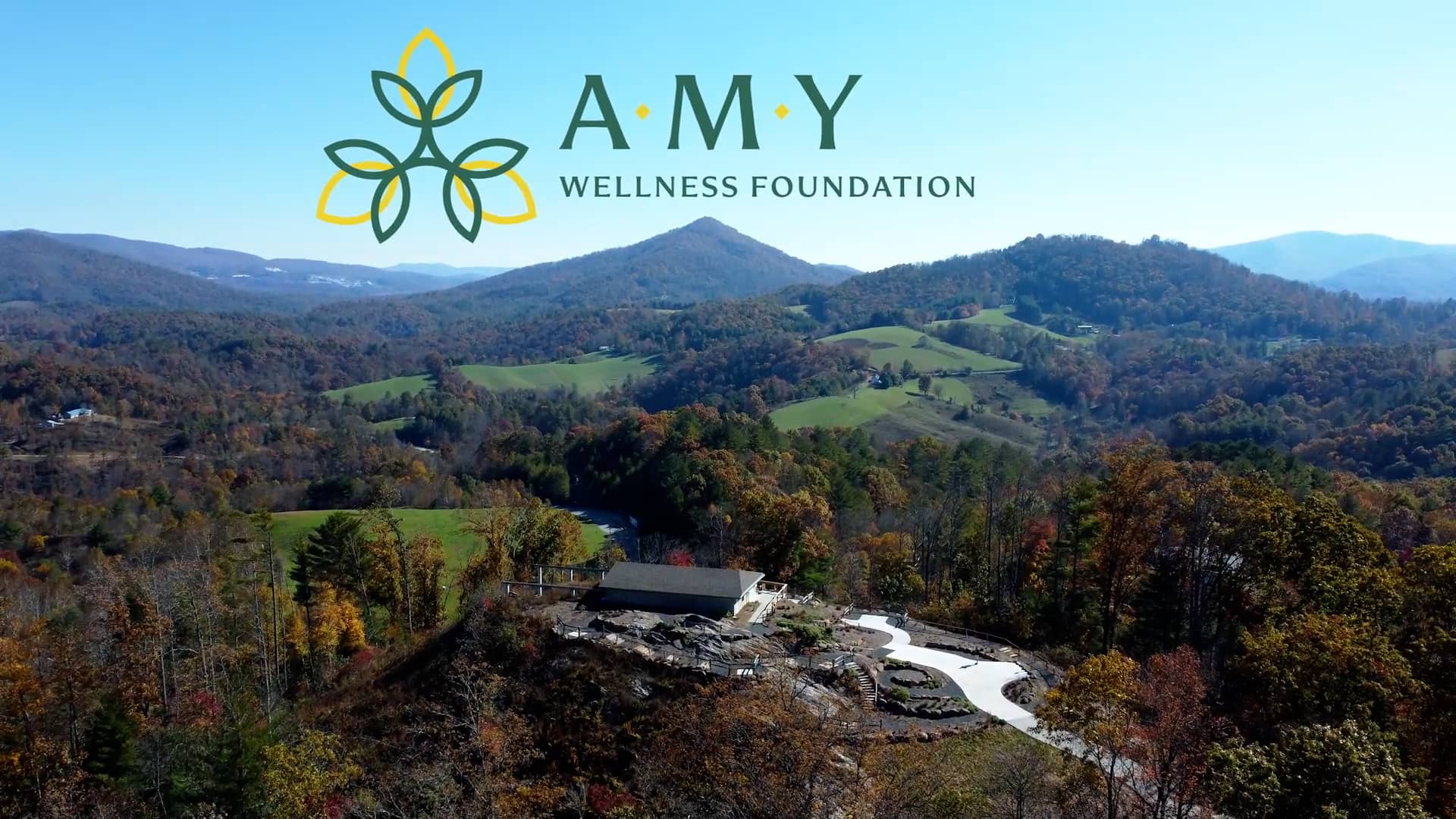 AMY - Communities in Action 2021 on Vimeo