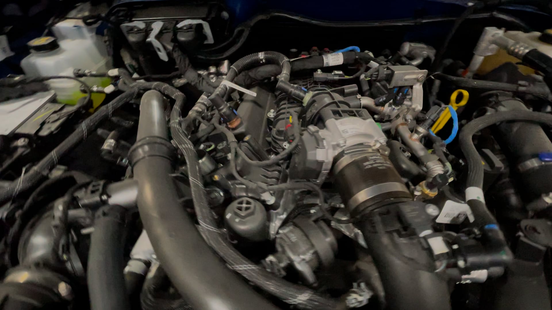 2021 Ford Bronco Sasquatch Edition | F80 | Kansas City 2021