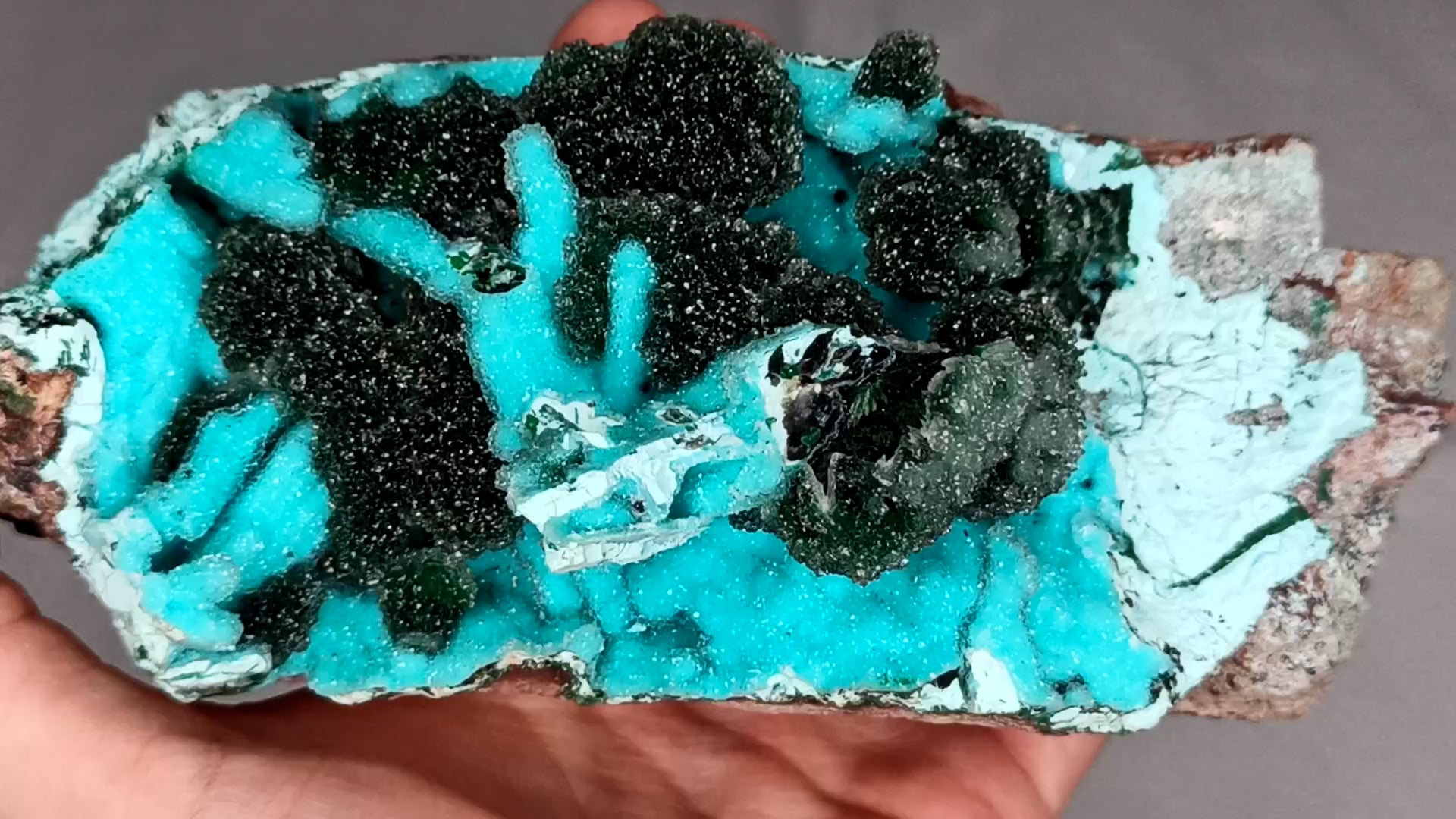 chrysocolle-tenke-congo-2 on Vimeo
