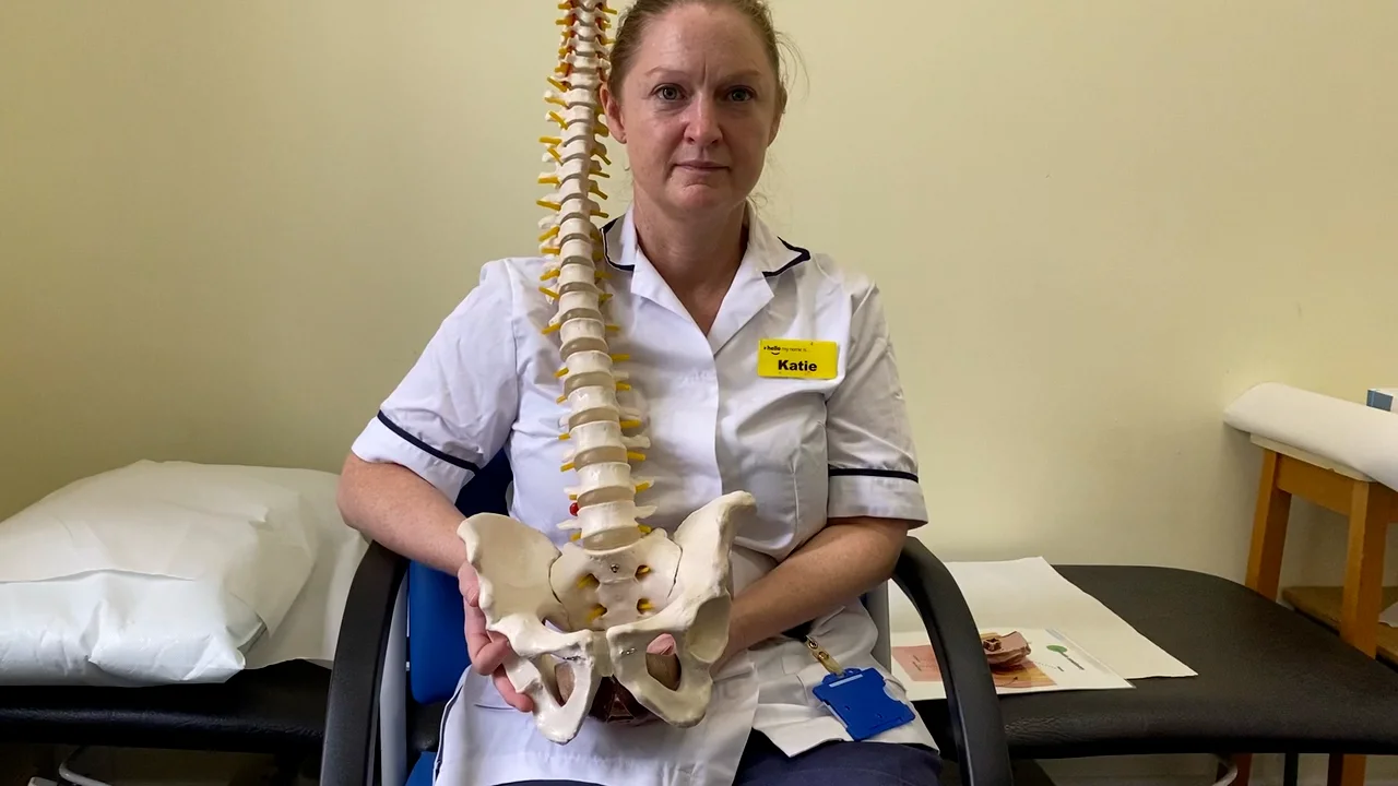 What are the pelvic floor muscles (PFM)