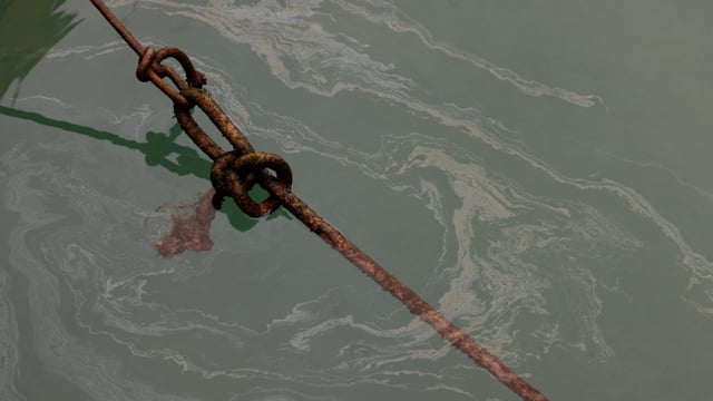 Soga La Cadena De Mar - Free video on Pixabay - Pixabay