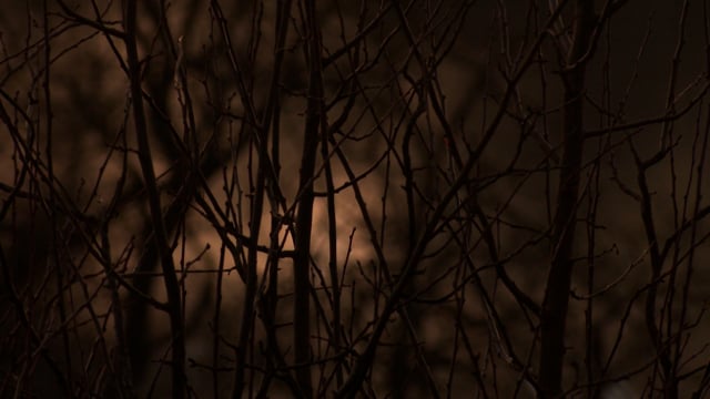 Night, Darkness, Smoke. Free Stock Video - Pixabay